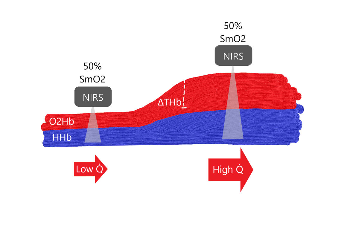 Muscle Oxygenation Overview – Spare Cycles